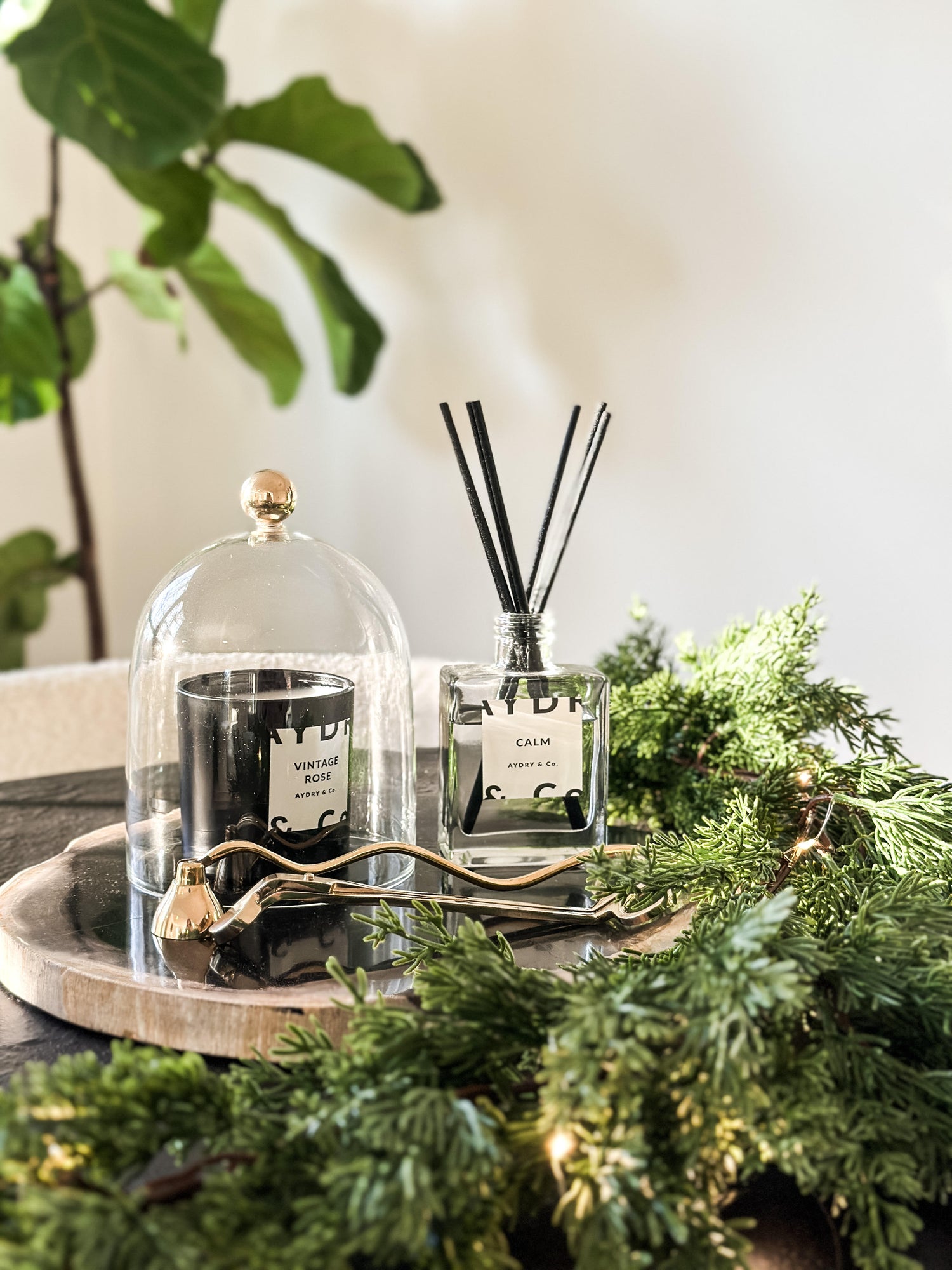 AYDRY & Co.® Official Site - The Best Home Fragrances