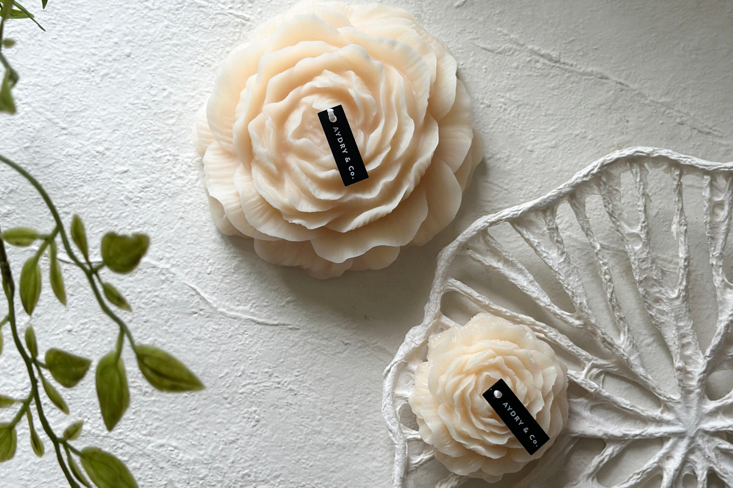 AYDRY & Co.® Official Site - The Best Home Fragrances